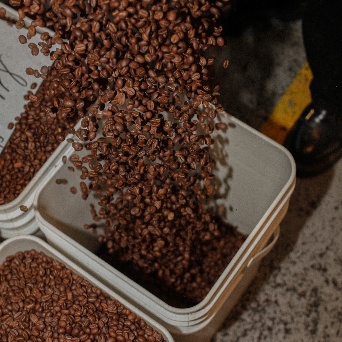 Shop Coffee – Everyday Coffee