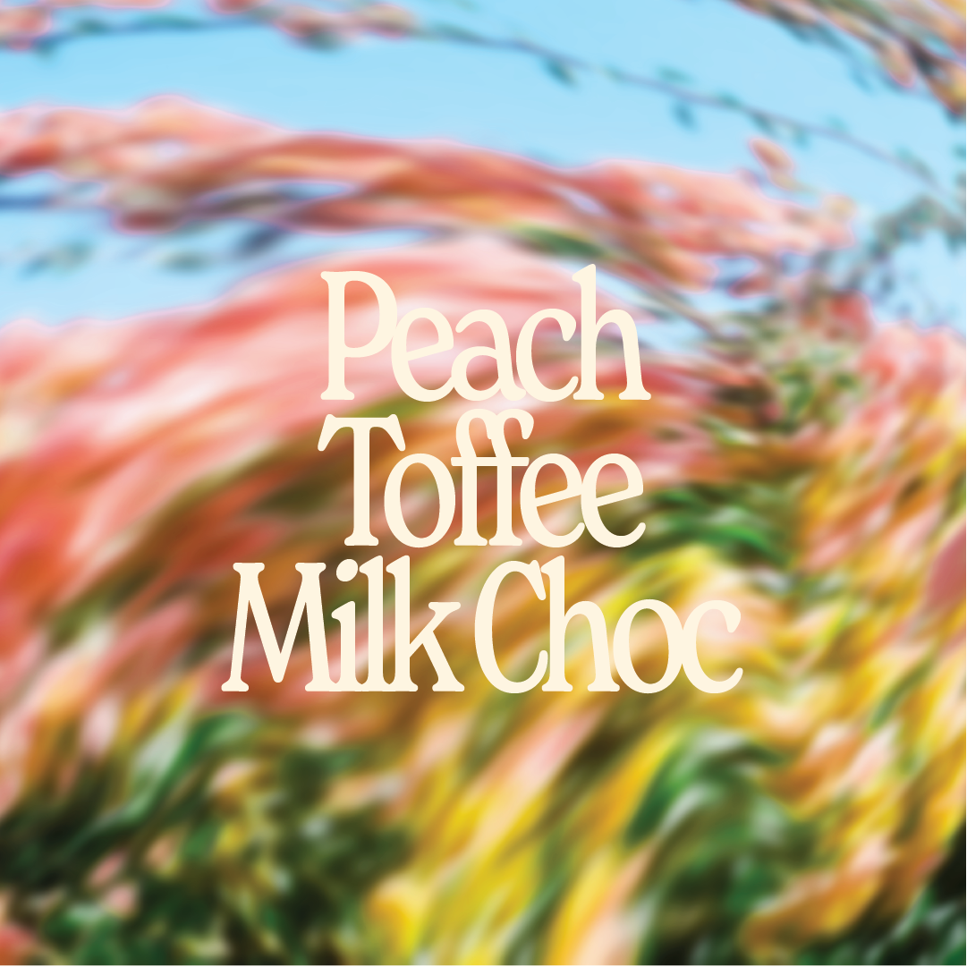 Shop Coffee – Everyday Coffee